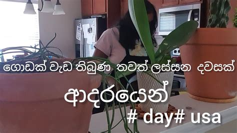 Day In Lifeඇමෙරිකාවේ මිදුලේ මල් පාත්ති සති අග ලස්සන දවසක් ගොඩාක් වැඩ තිබුණත් Youtube
