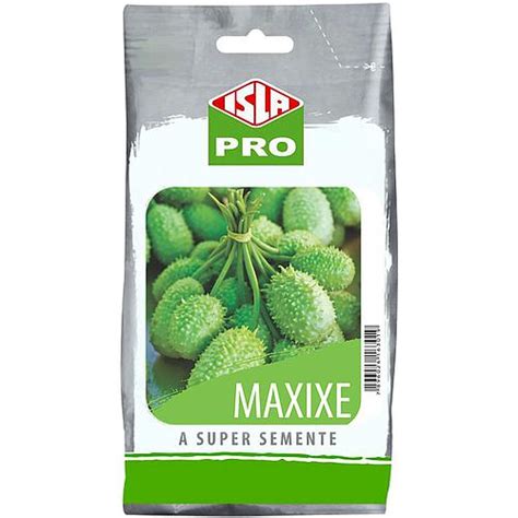 Maxixe Maxixe Isla Sementes