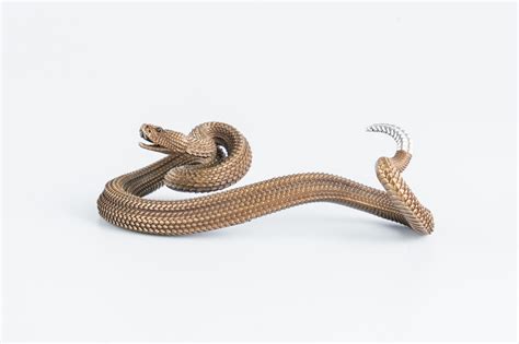 Бесплатные стоковые фото на тему вертикальный выстрел декор внутренних стен декоративный