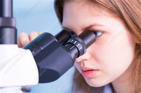 Woman Using Microscope Stock Image F Science Photo Library