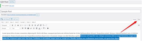How To Highlight Text In WordPress Free Hosting ZETTAHOST Com