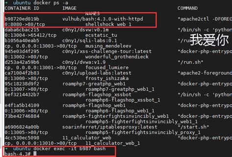bash 破壳漏洞shellshock （cve 2014 6271）复现分析 春告鳥 博客园