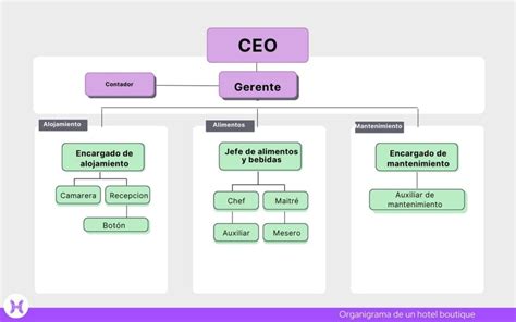 Cómo Es El Organigrama Clave De Un Hotel 3 Estrellas
