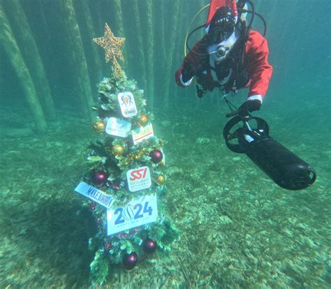 Традицијата продолжува блесна новогодишната елка под вода Reporter Mk