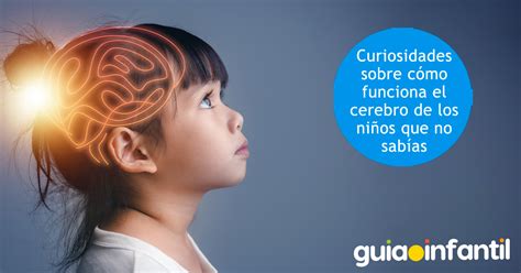 5 Cosas Que No Sabias Del Cerebro Curiosidades Fascinantes Para Ninos Bilarasa
