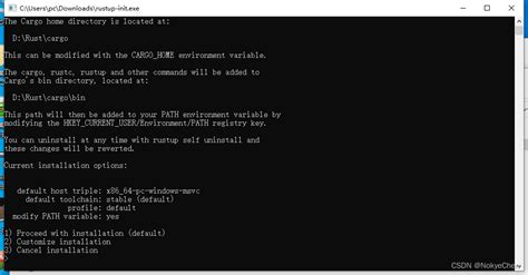 win10 rust环境配置以及vscode调试环境配置 rust配置到环境变量中 csdn博客