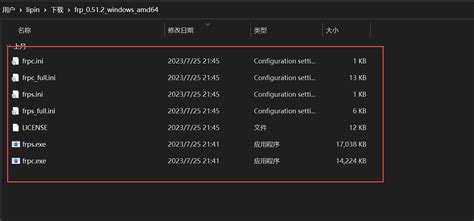 内网隧道代理技术（十六）之 Frp的使用frp Sock模式和tcp区别 Csdn博客