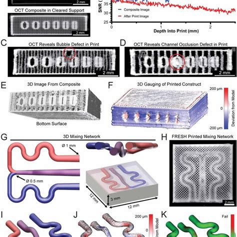 In Situ Oct Imaging And Error Detection Of Fresh Printed Constructs Download Scientific