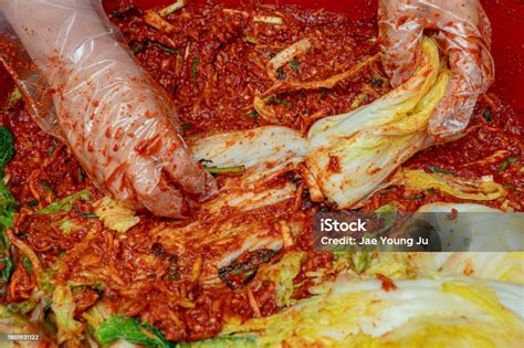 한국 전통 음식인 김치를 만드는 과정 소금에 절인 양배추에 다양한 양념을 넣어 양배추김치를 만드는 여성의 손 클로즈업 건강한