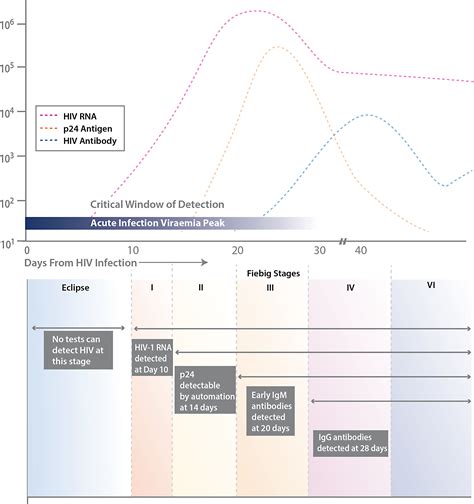 Human Anti Hiv Igm Detection By The Oraquick Advance® Rapid Hiv 1 2 Antibody Test [peerj]