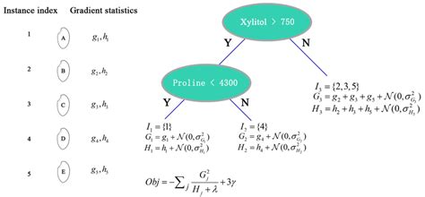 The Schematic Diagram Of Dp Xgboost Model We Inject Gaussian Noise