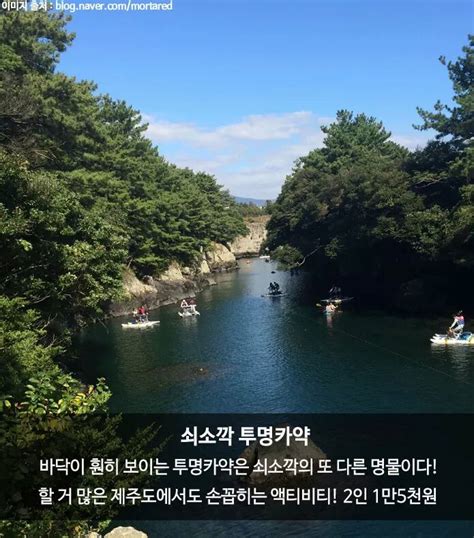 트래블러 방랑자 여행 올 여름 휴가로 갈만한 제주도 추천 여행 코스 Daum 카페