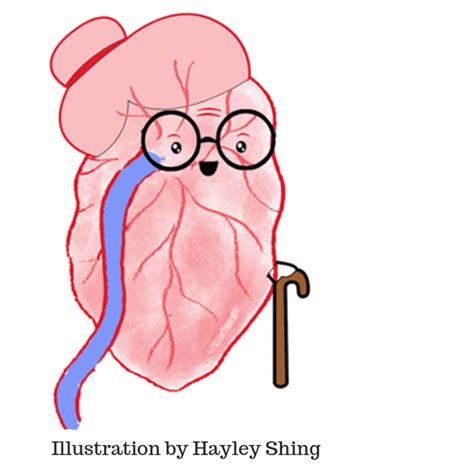 Aging Placenta Myth Debunked Evidence Based Birth Facts