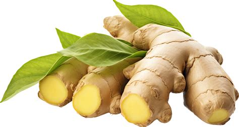 Ginger Png With Ai Generated 33303194 Png