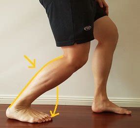Soleus Muscle Stretch