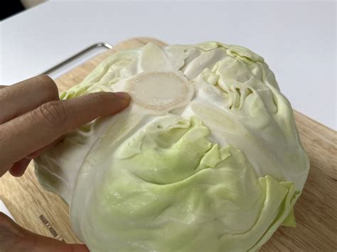 양배추 오래 보관하려면 ‘이것을 잘라내세요 텐꿀팁