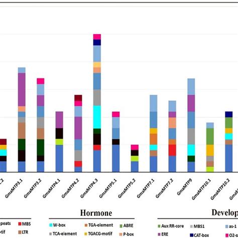 Cis Regulatory Elements In The Promoter Region Of Gmamtp Genes Download Scientific Diagram