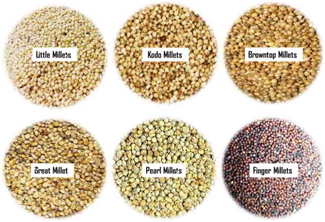 Millet And Their Awesome Health Benefits Common Millets 45 Off