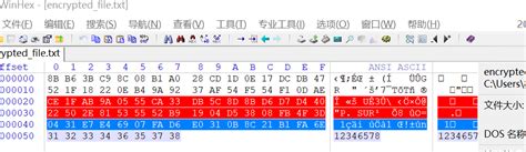 2月solar月赛wp cyi 博客园