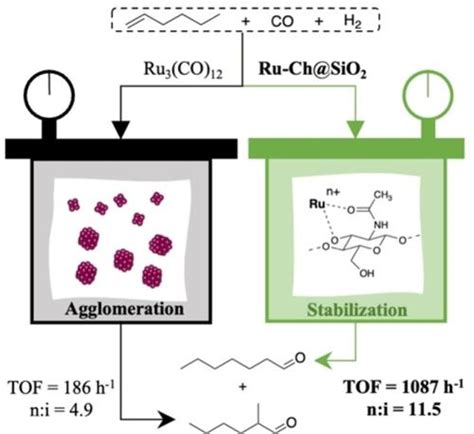壳聚糖 二氧化硅作为廉价载体和绿色软配体用于改进 Ru 催化的加氢甲酰化chemcatchem X Mol