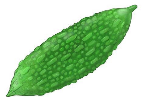 ゴーヤ 無料イラスト素材素材ラボ