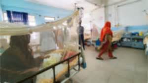 ডেঙ্গু একদিনে হাসপাতালে ৩৩ রোগী