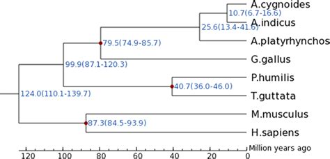 Phylogenetic Tree Reconstructed Using All Single Copy Orthologs The Download Scientific
