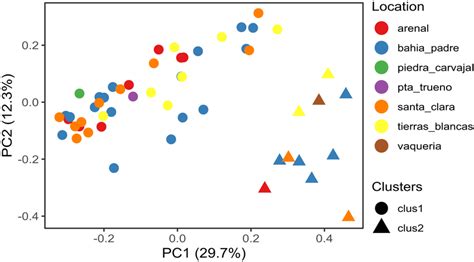pcoa using bray‐curtis dissimilarity distance matrix using the filtered