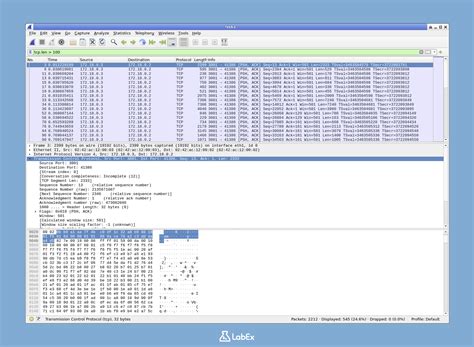 Capture And Analyze Network Traffic With Wireshark LabEx