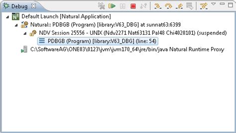 Debugging Natural Applications