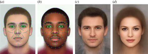 Average Male Faces