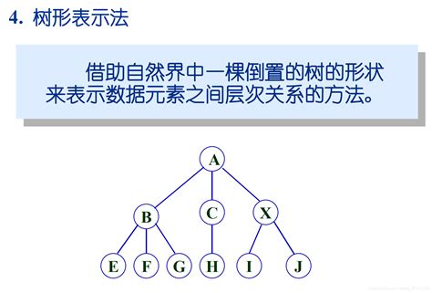 数据结构（五）树与二叉树（一）任意给定一棵二叉树是设计程序在计算机中构造二叉树并对其进行并利用非递归形式实现 Csdn博客