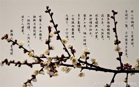 春雪丨古體詩 每日頭條