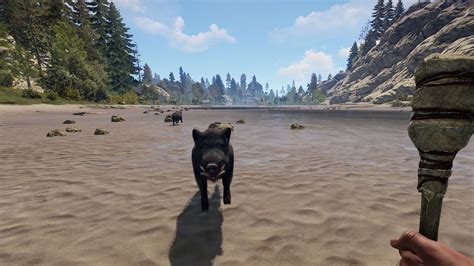 How To Get Food In Rust And Avoid Starvation GamesRadar