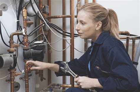 Bpec Ramping Up Green Skills Training Renewable Energy Installer