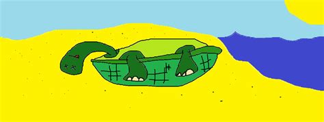 Dead Turtle By Callmepaco On Deviantart