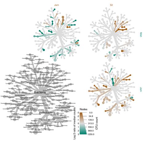 Workshop 07 Diversitystatsknit
