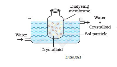 Colloids And It S Classification Science Vision