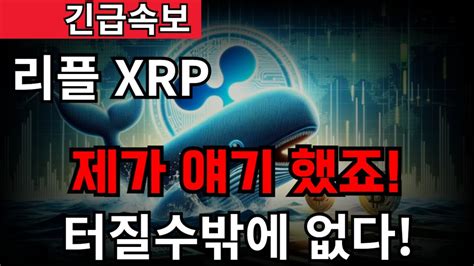 리플 결국 폭등 확정됐네요미리 축하드립니다 Youtube