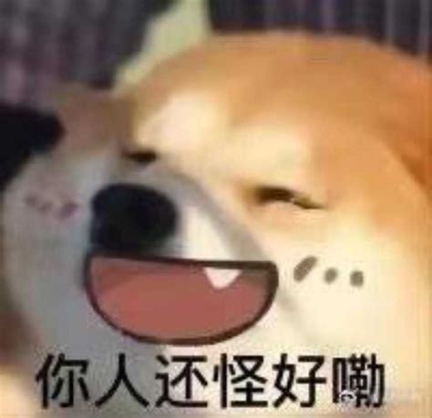 谁可以发我下“你人还怪好的嘞”那个狗狗表情包啊？ 知乎