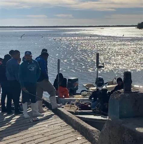 Muere Pescador Tras Ataque De Tiburón En Sonora Grupo Milenio