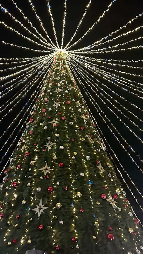 Сочи Новый год Пляжные декорации Новый год Декорации