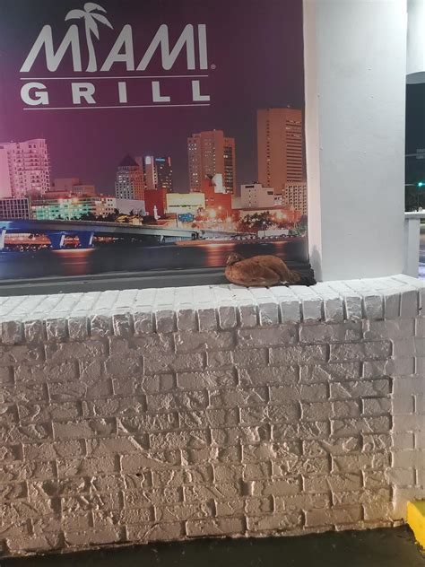 Whats Your Rating And Whats Your Rank On The Leaderboard R Geoguessr