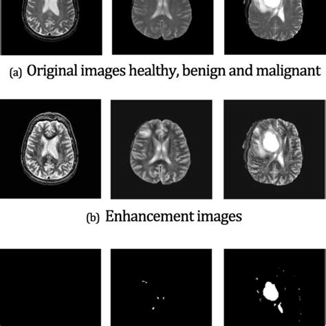 Pseudocodes Of The Mvo Algorithm Download Scientific Diagram