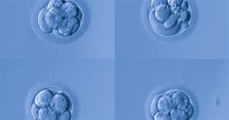 Gene Editing Twins Lulu And Nana May Carry Dangerous Genetic Mutations