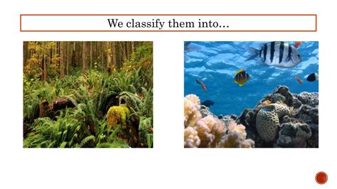 NS Unit Types Of Ecosystem Pptx