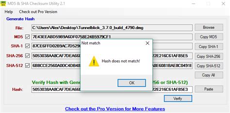 Downloaded File Checksum Does Not Match Saybot