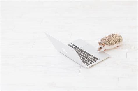 oracle sql developerでクエリを整形したり各言語実行用に自動フォーマットしたりする 火消しに行って油を注ぐ