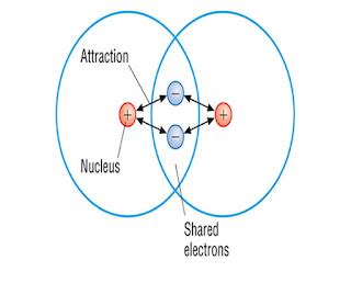 Chemistry Knowledge Comparison Between Covalent And Ionic Bond