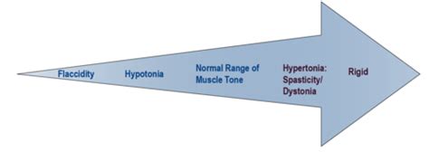 Nm1 Management Of Hypertonicity Flashcards Quizlet
